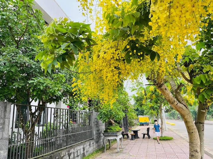 Peaceful Garden House For Writers & Researchers - Quang Ngai