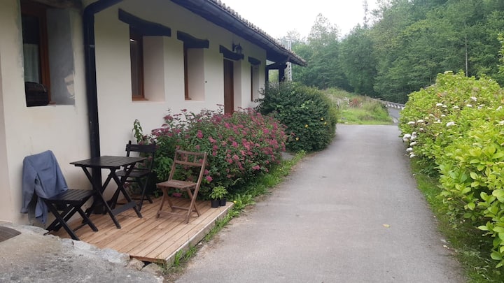 Apartamento Goikola - Azpeitia