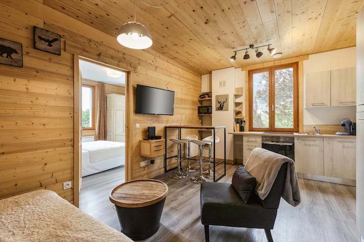 Cosy 1ch 35m2 | Centre | Parking | Calme | Tv Wifi - Chamonix-Mont-Blanc