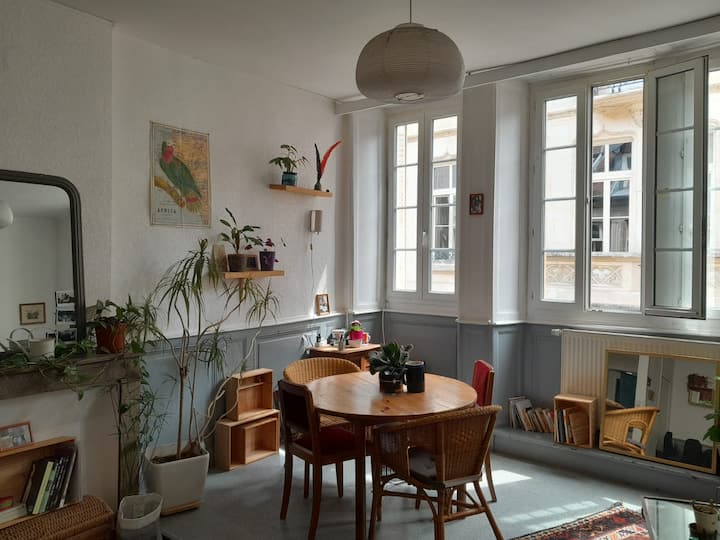 Appartement Chaleureux En Plein Centre Historique - Besançon