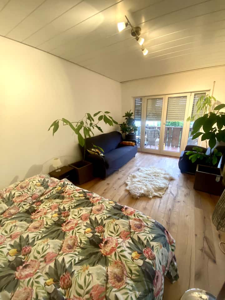 1 Room In Stuttgart North/west - Stuttgart