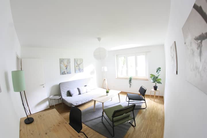 Well Located 4 Room Apartment - Bâle