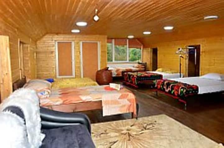 Apartament Cu Vedere La Munte - Rimetea