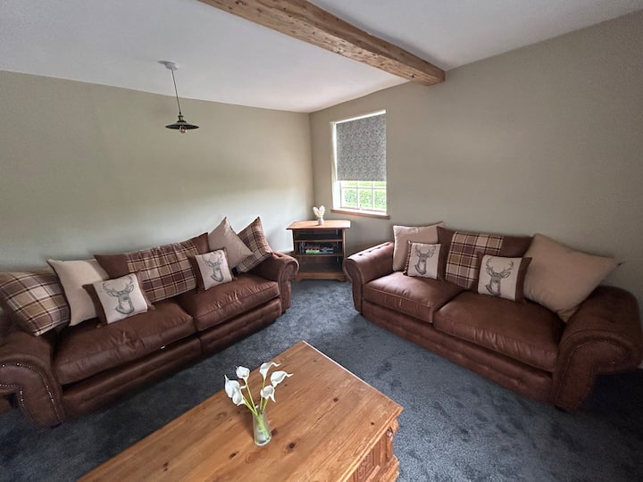The Original Ball Apartment - Oswestry