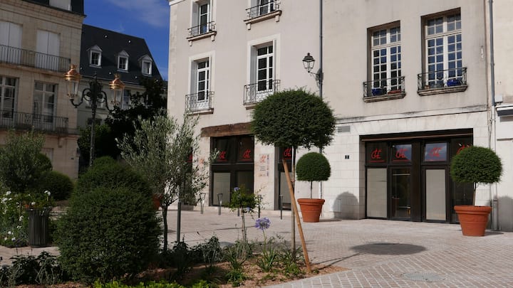 Appartement En Hyper Centre - Tours