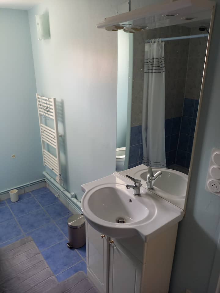 Studio Plain- Pied. - Saintes