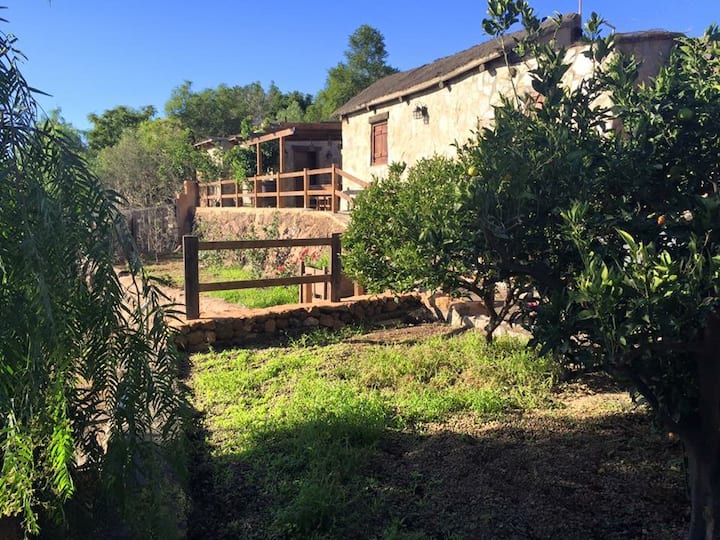 San Roque Rural Home. A/c · Bbq · Workspace - Vilaflor