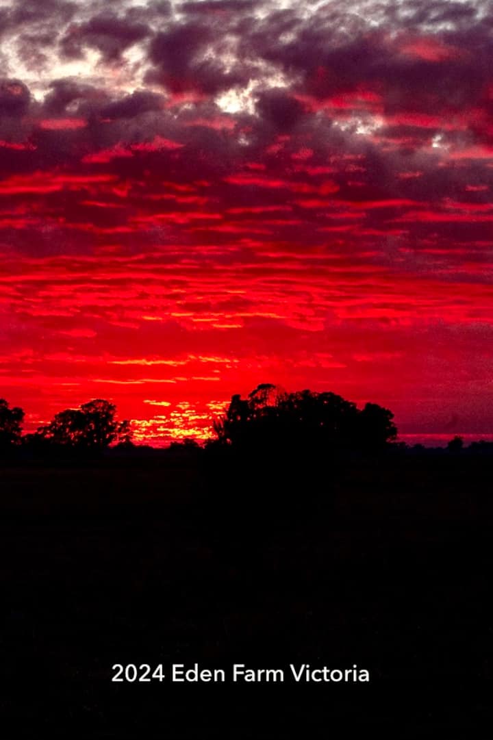 Eden Farm Stay - Numurkah