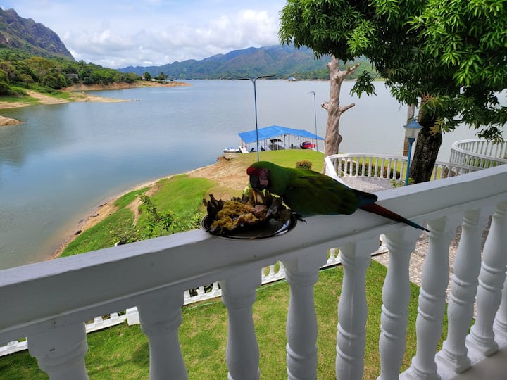 Finca En Represa De Prado Tolima - Prado