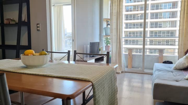 Santa Lucía, Cómodo Y Luminoso Departamento. - Santiago, Chile