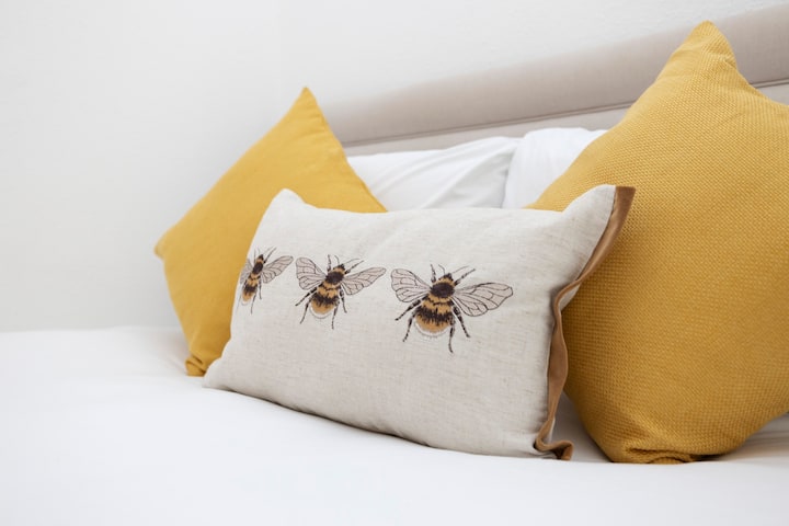 Large 4 Double Bedroom City Centre Flat - Edinburgh