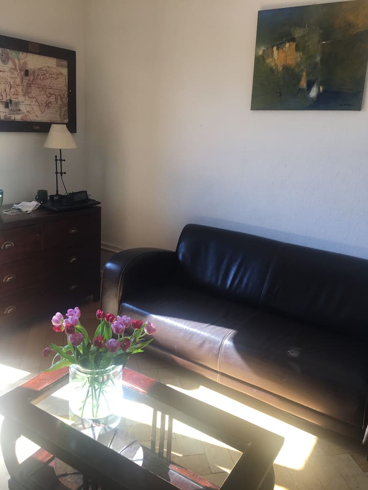 Chambre,très Bien Située. - ジュネーヴ