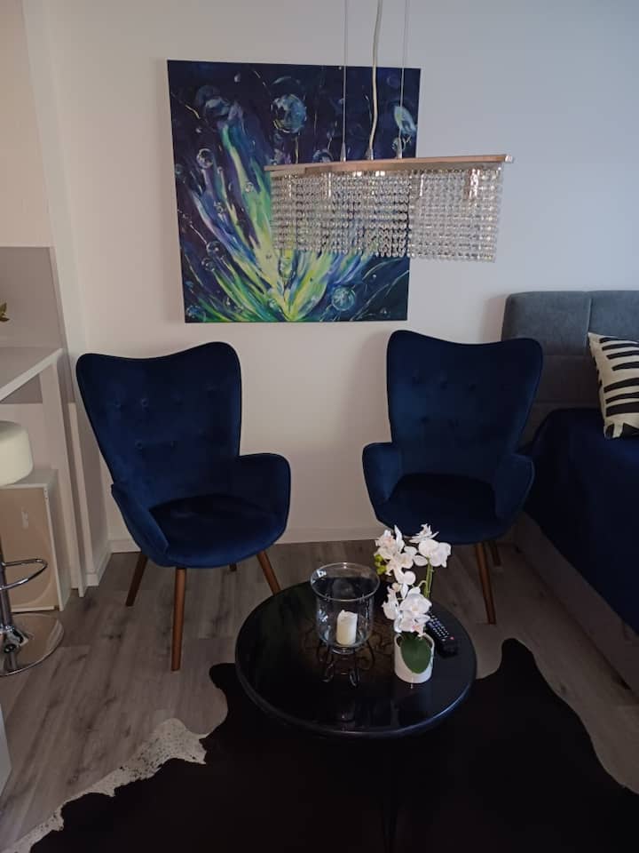 Wunderschönes 1-zimmer Apartment - Nuremberg