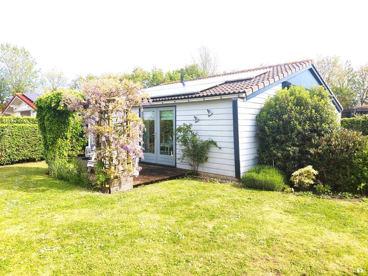 Beachpark 69 Renesse - Renesse