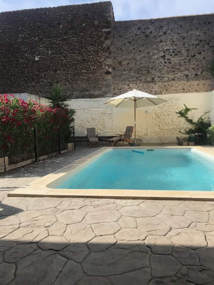 Le Petit Paradis - Picpoul - Bessan