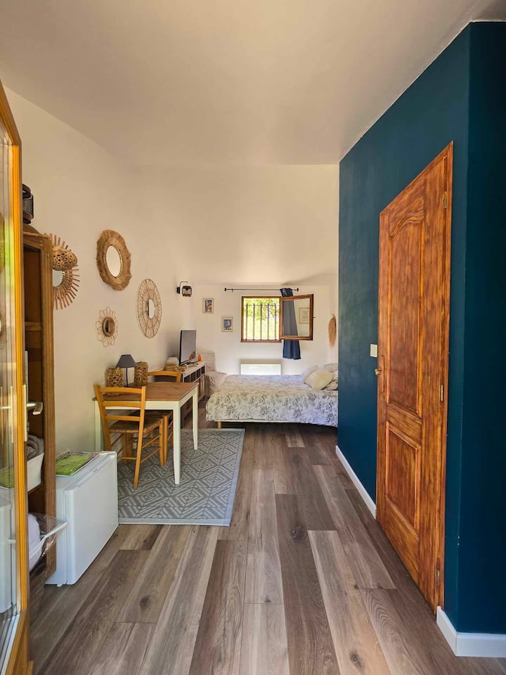 Beau Studio Rénové Avec Piscine - Trans-en-Provence