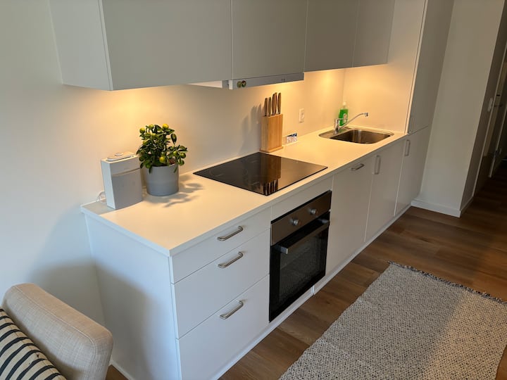 Moderne Lejlighed I Aarhus - Aarhus