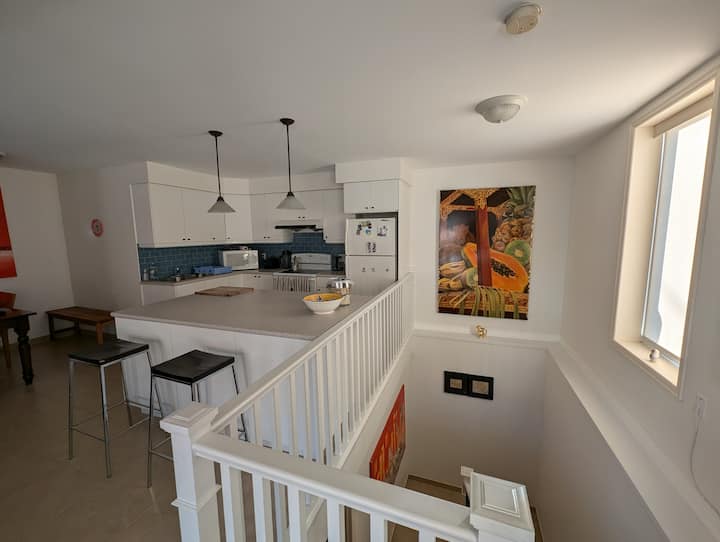 Queen West: Giant 1 Bed/terrace/parking - Toronto