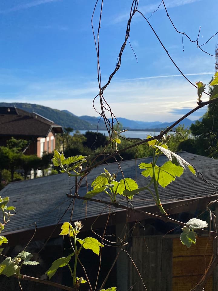Love Maggiore - Lake Maggiore