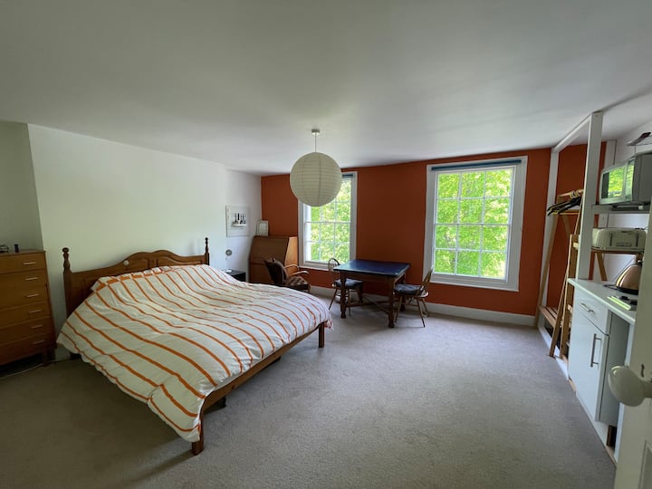 Spacious Room - Very Central Exeter - Exeter