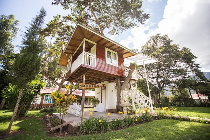 La Casita Del Arbol - Oxapampa - Oxapampa