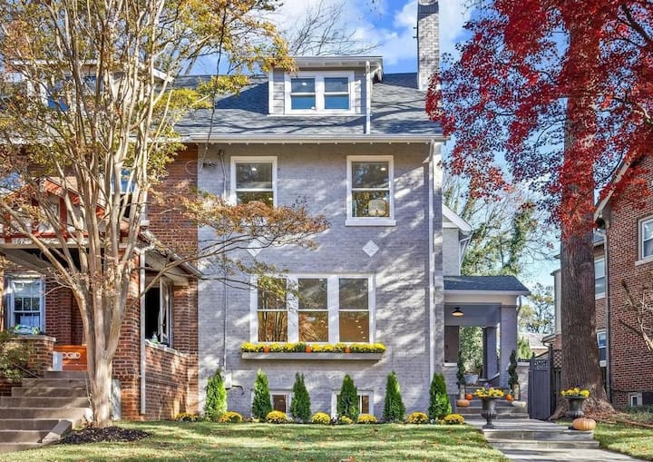 Bright Rock Creek Park Basement - Free Parking! - Bethesda