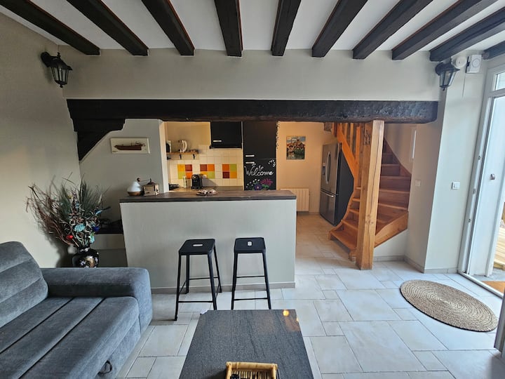 Le Vinci /Maison Près Du Château - Amboise