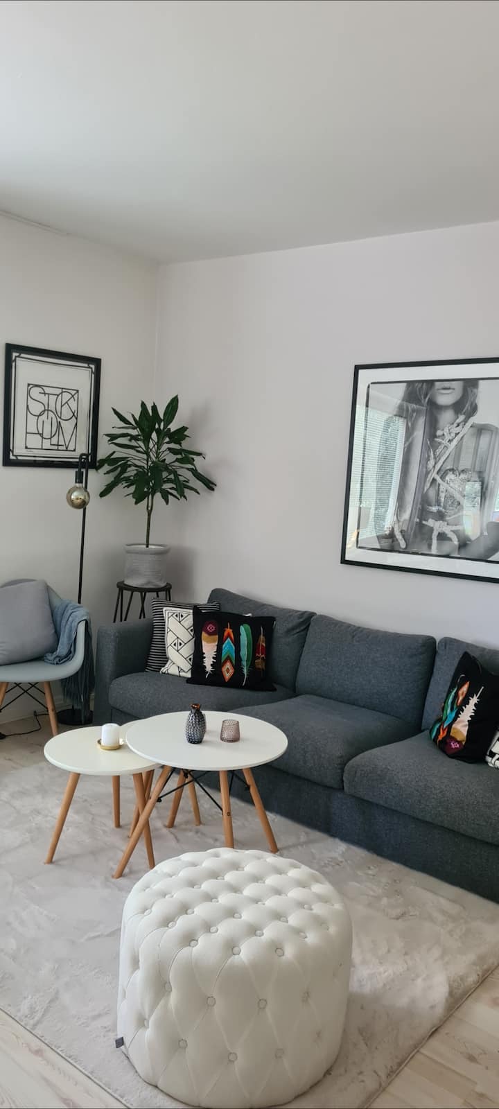 Friends Arena Cosy Apartament - Solna