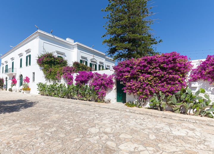 Masseria San Nicola Savelletri - Fasano