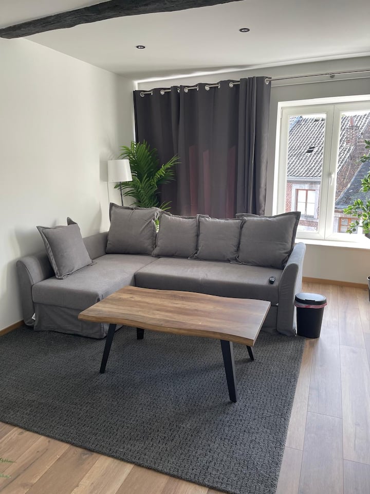 Grand Duplex Rénové - Huy