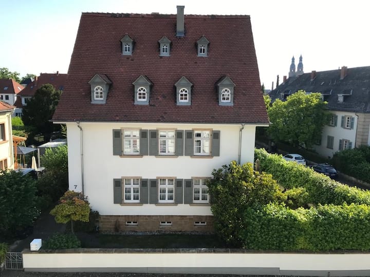Dachgeschosswohnung Bestlage - Speyer