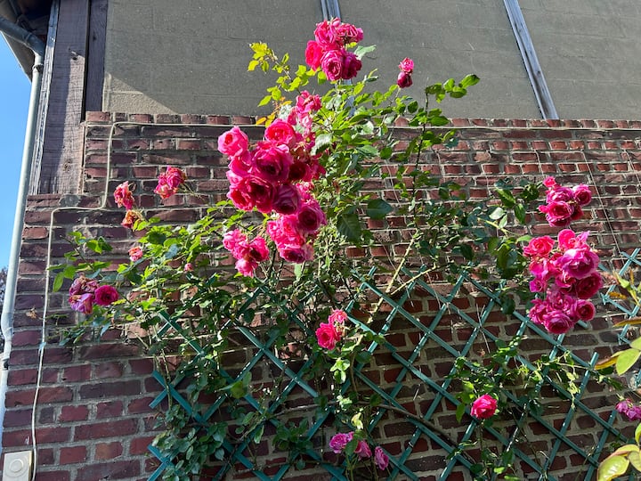 Maison Au Coeur De Pont L'evêque 4 Chambres-9 Lits - Pont-l'Évêque