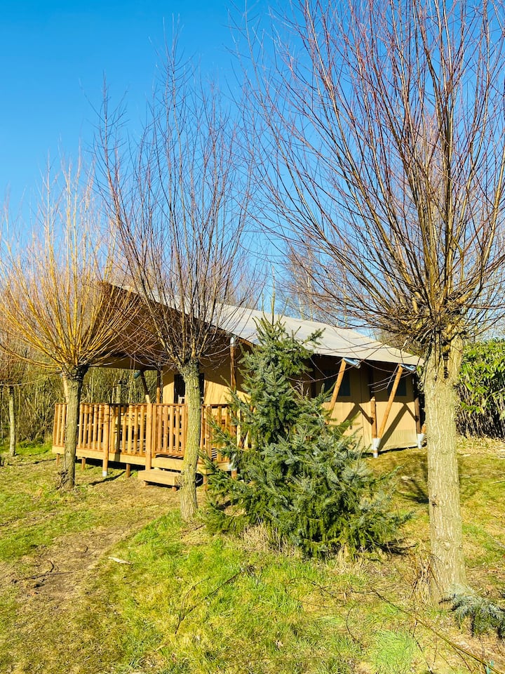 Glamping Lodge 3 - Veghel