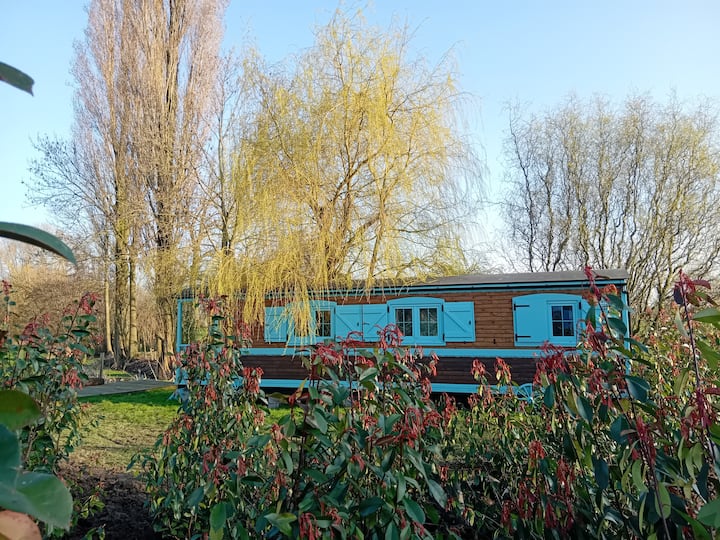 La Bohème - Gelegen In Het Groen - Deinze