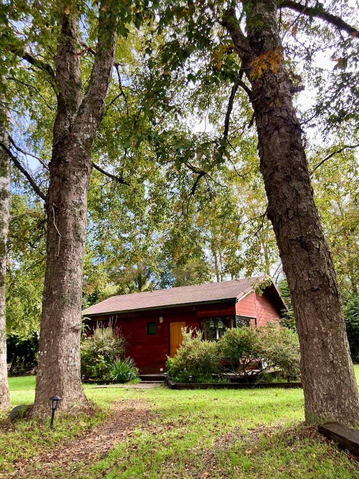 Cabaña Entre áRboles - Valdivia