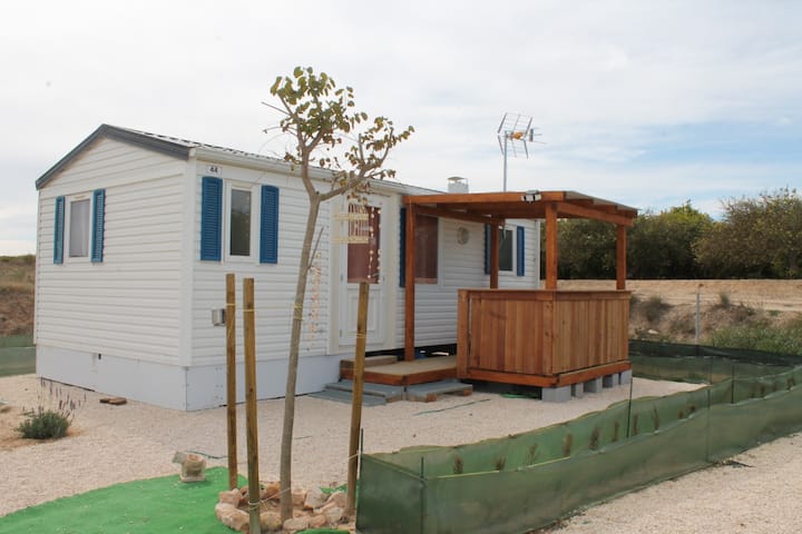 Campo Aurora - La Marina