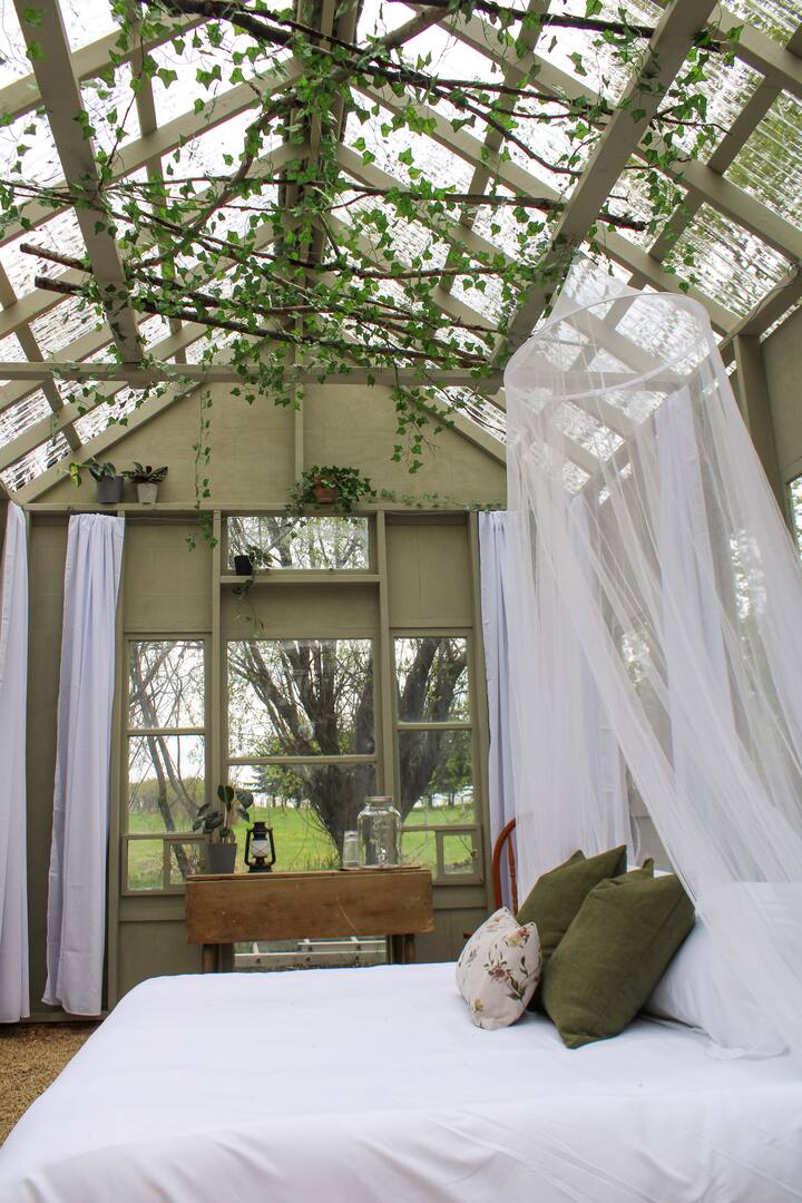 Greenhouse Near Sylvan Lake - Sylvan Lake
