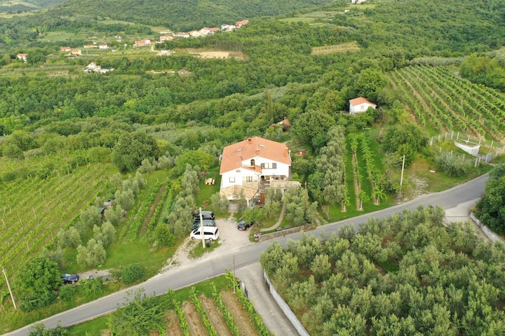 Domačija Butul - Farm Stay Butul 3 - Koper