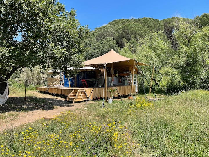 Unique Experience For Nature Lovers And Families - Azeitão