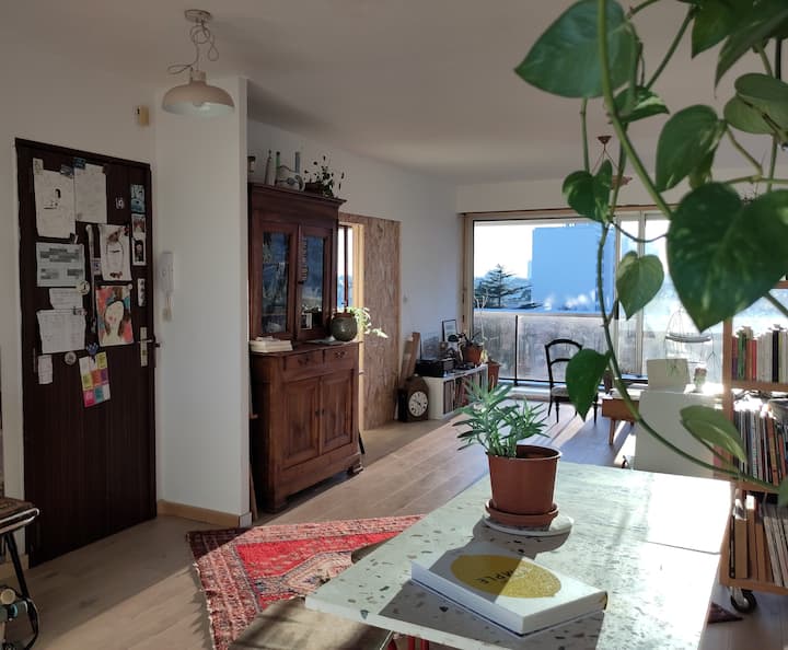 Amoureux Des Chats Et Avec Vue ! - Bordeaux