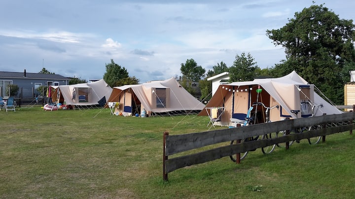 Oerd 2 - Ameland