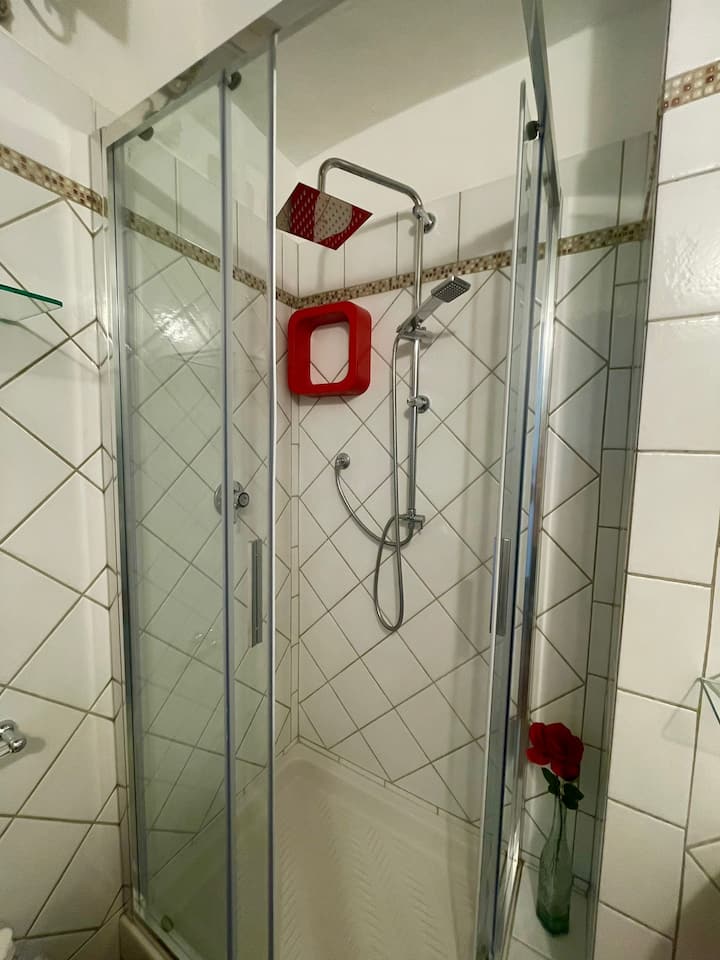 Dimora Ginevra (Quartiere Cit Turin) - Turin