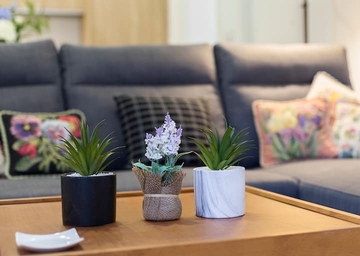 Céntrico Moderno 3 Rooms - Jerez