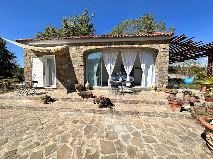 B&b Piano Terra
Room: Anema E Core - Paestum