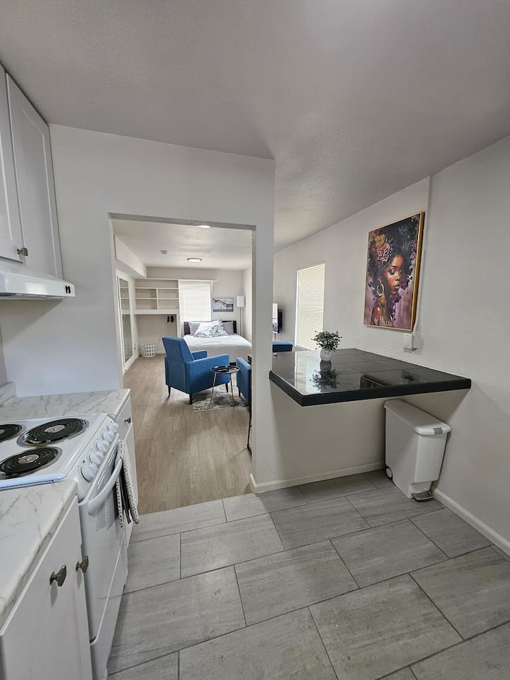 Pet Friendly Studio In Englewood - Englewood, CO