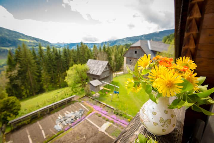 Ferienwohnung Obere Stube - Carinthia