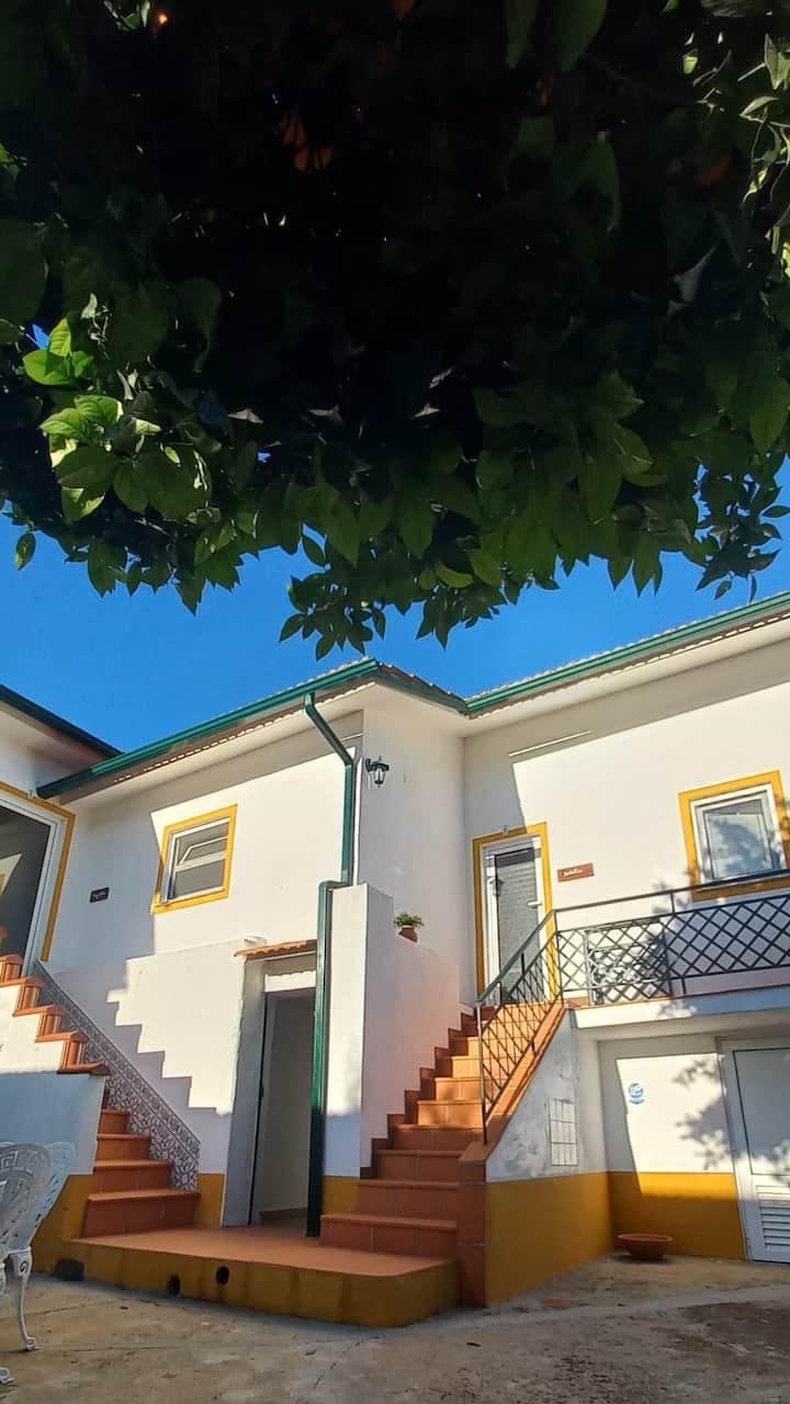 Bolota | Quinta Do Ti Vasco - Castelo