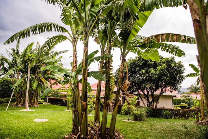 Your Dream Paradise Home - Rwanda