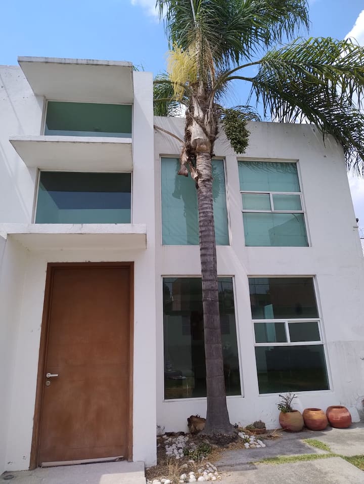 Las Orquídeas - San Pedro Cholula