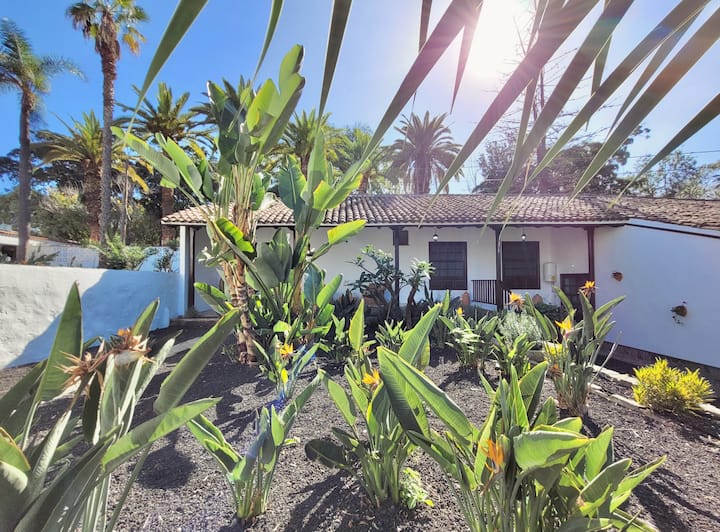 Strelitzia - Hacienda La Vizcaina - Puerto de la Cruz